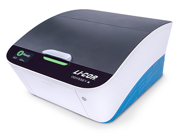 Odyssey M - polygen.2clickeshop.pl